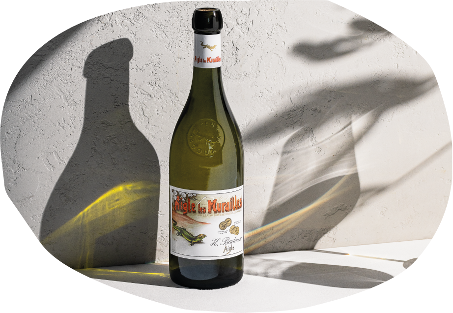 Schenk family Suisse – Weinproduzent und -vertreiber seit 1893