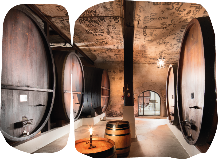 Schenk family Suisse – Weinproduzent und -vertreiber seit 1893